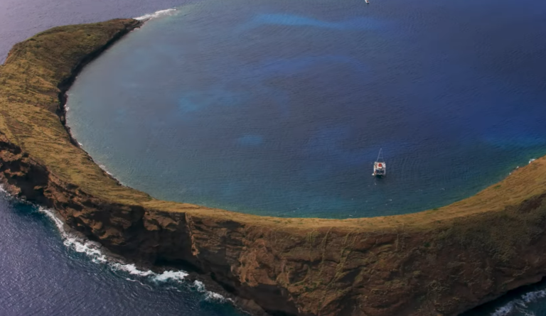 NOAA’s New Deep-Sea Survey Off Hawaii Just Found Something That Changes ...